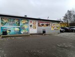 Овощи & фрукты (Pechatnaya Street No:60), manavlar  Kaliningrad'dan