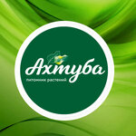 Pitomnik Ahtuba (Volgograd Region, Sredneakhtubinskiy rayon, Akhtubinskoye selskoye poseleniye, posyolok Kilyakovka, Nagornaya ulitsa), fidan yetiştiriciliği  Volgogradskaya oblastından