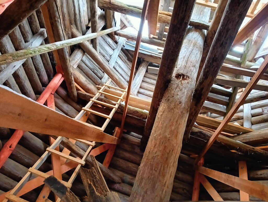 Ortodoks kiliseleri Tserkov Flora i Lavra V Tsivozere, Arhangelskaya oblastı, foto