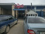 Qiwi (Shymkent, Zerde kóshesi), ödeme terminali  Çimkent'ten (Şımkent'ten)
