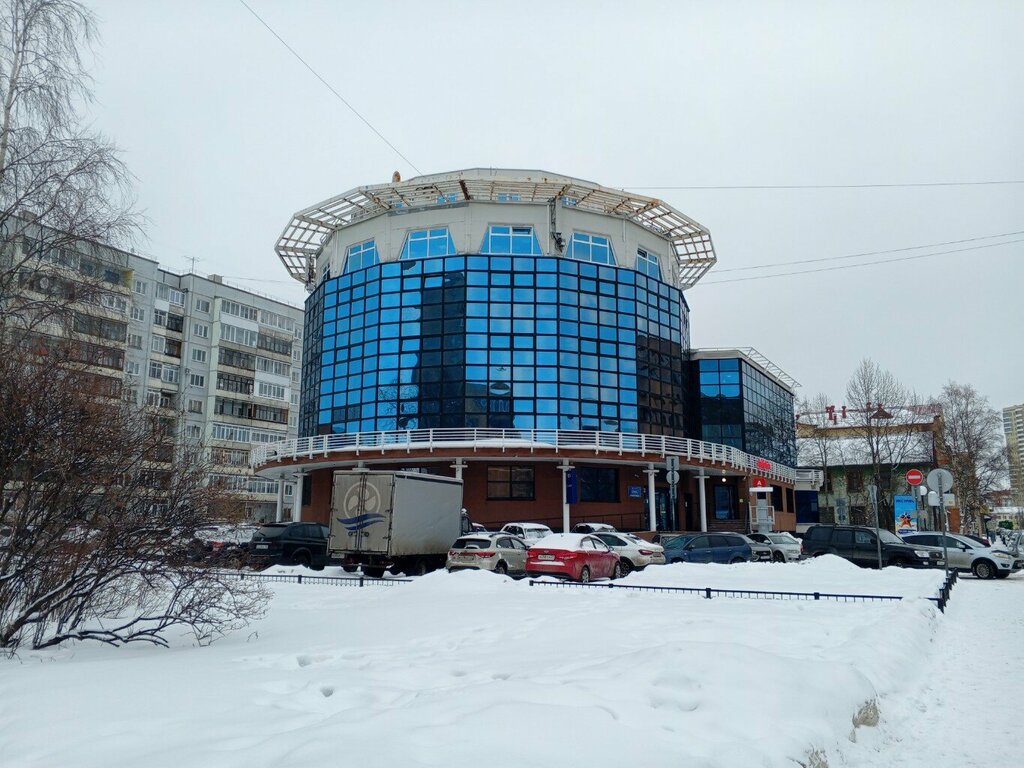 Kömür firmaları Torgovaya firma Kvadr, Arhangelsk, foto