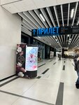 Myfloshop (Novosibirsk Region, Airport Novosibirsk (Tolmachevo) named after A. Pokryshkin), çiçekçiler  Ob'dan