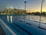 Swimming Pool (Al Iskandariyah Governorate, Alex West Compound), yüzme havuzları