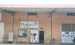 Blueberry Zambia - Promotional T-shirts and Plain t-shirts (Malambo Road No:263), giyim mağazası  Lusaka'dan
