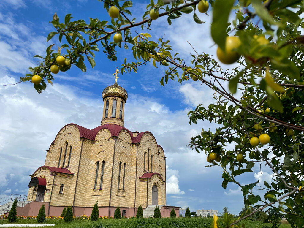 Ortodoks kiliseleri Церковь святых Новомученников и исповедников земли Белорусской, Skidel, foto