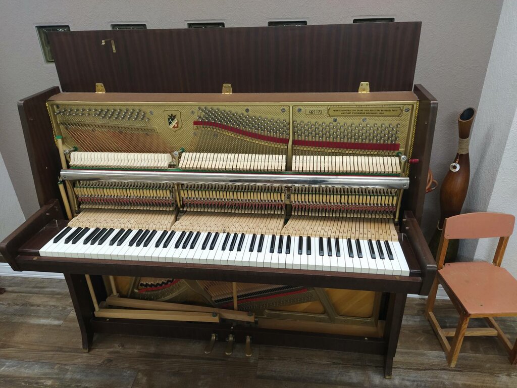 Müzik enstrumanların tamiri Настройка и ремонт музыкальных инструментов, Minsk, foto