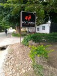 Nocturnal Pup and Grill (Chiwalamabwe Road No:6816), bar  Lusaka'dan