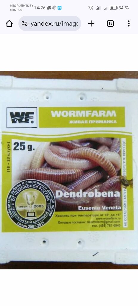 Balıkçılık ekipman firmaları Zhivye nasadki dlya rybalki, Moskova ve Moskovskaya oblastı, foto