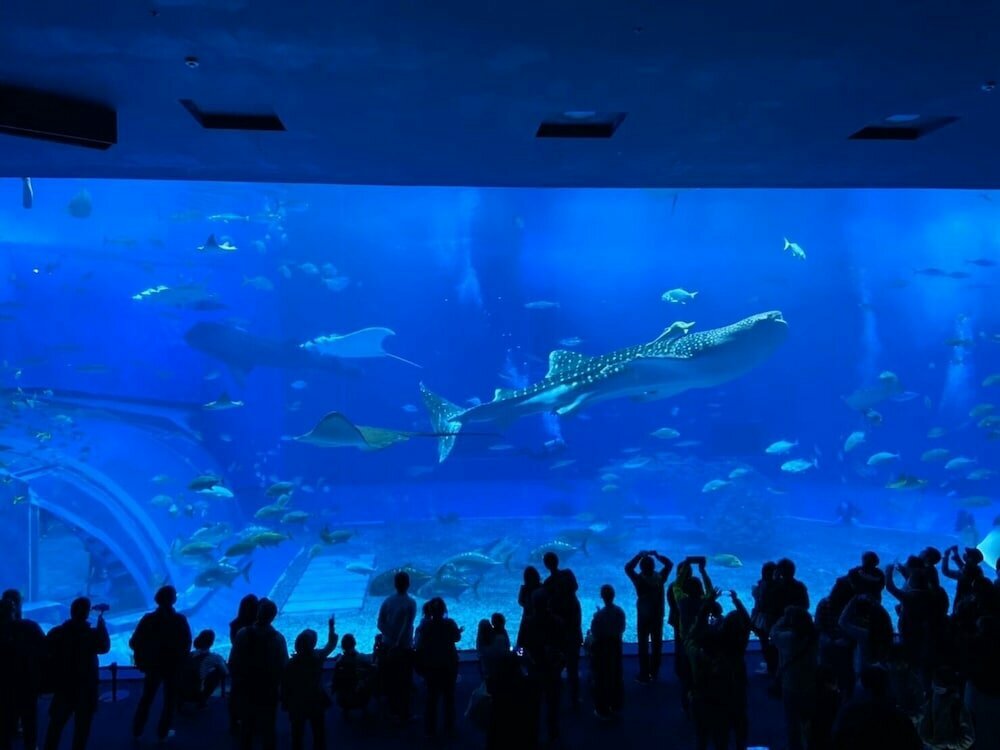 Otel Savangi, , foto