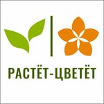 Rastet Cvetet (Moskovskaya ulitsa No:34), çiçekçiler  Tula'dan