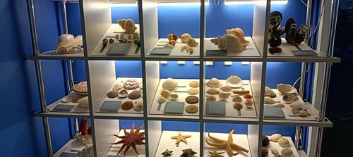Müzeler ve sanat galerileri Munitsipalnoye kazennoye uchrezhdeniye Istoriko-krayevedchesky muzey Artemovskogo gorodskogo okruga, Artem, foto