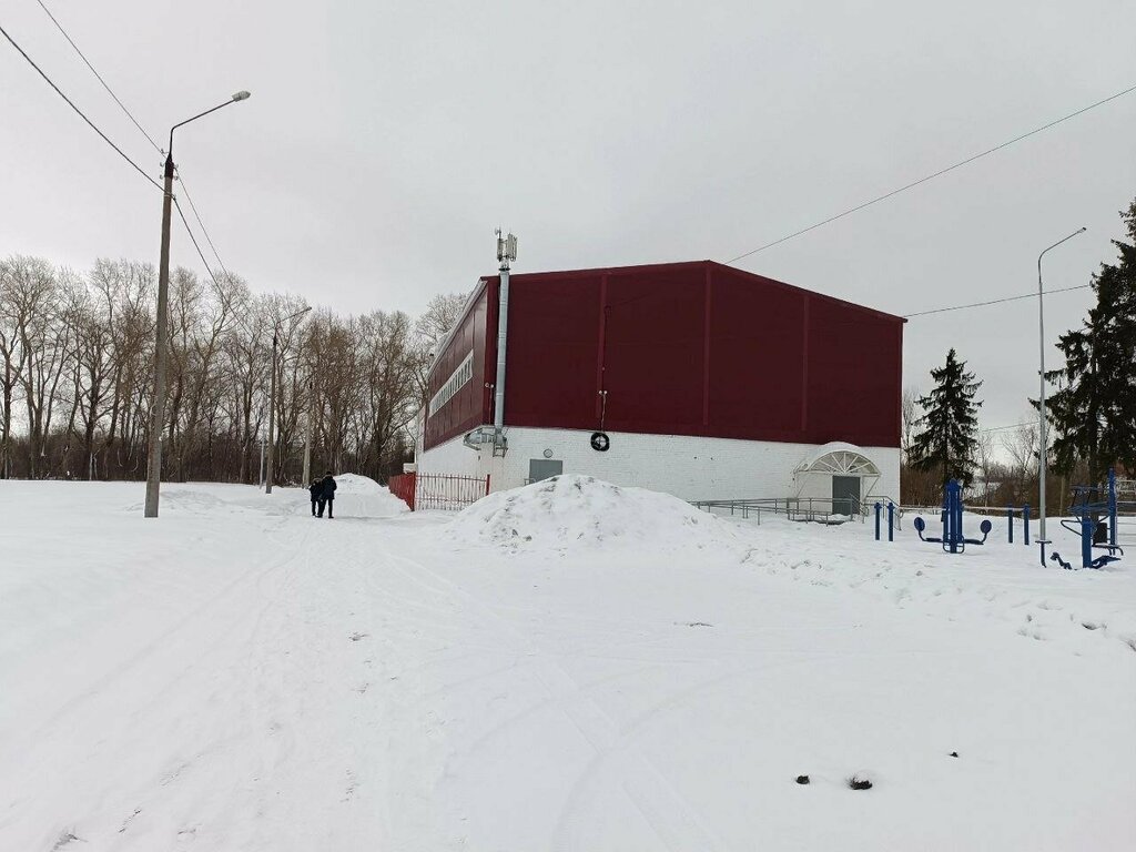 Spor kulüpleri Airkids, Arhangelsk, foto