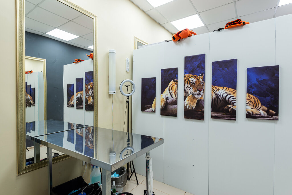 Veteriner klinikleri Simonn, Krasnogorsk, foto