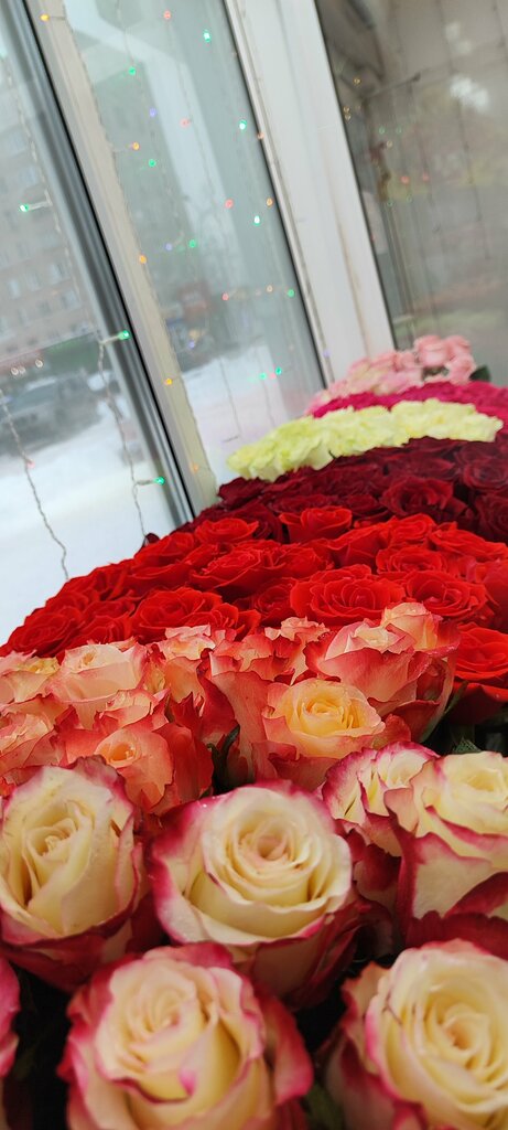 Çiçekçiler Flowers, Orehovo‑Zuyevo, foto