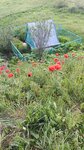 Spring, stream (Republic of Tatarstan, Vysokogorskiy rayon, Aldermyshskoye selskoye poseleniye), pınar, çay  Tataristan'dan