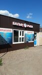 Fish and Seafood (Qazybek Bı kóshesі No:4, Qosshy), balık ve deniz ürünleri  Akmola eyaletinden