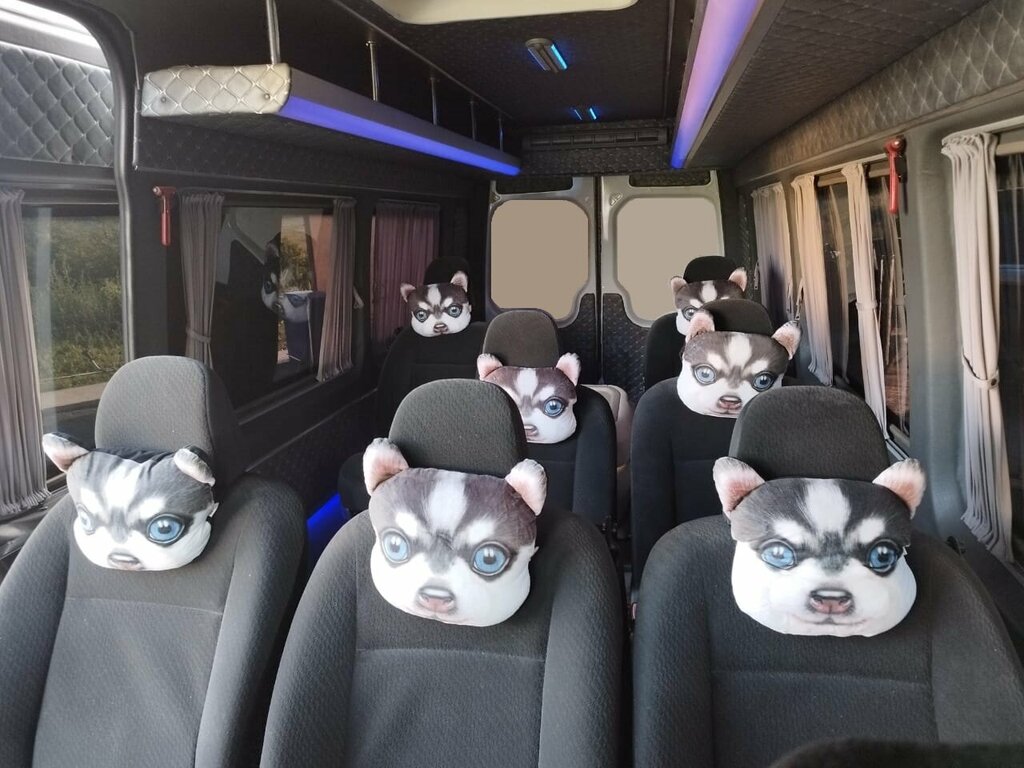 Otobüs taşımacılığı Husky Express, Kırım Cumhuriyeti, foto