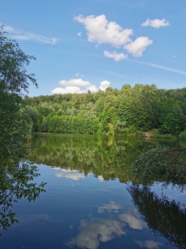 Piknik alanı Место для пикника, Penza, foto