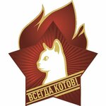Всегда Котов (Dzerzhinskogo Street No:3), telefon tamir servisi  Riazan'dan