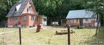 Сонт (Voronezh Region, Semilukskiy rayon, Gubaryovskoye selskoye poseleniye, SONT Khimik, Yuzhnaya ulitsa), bahçecilik dernekleri ve kuruluşları  Voronejskaya oblastından