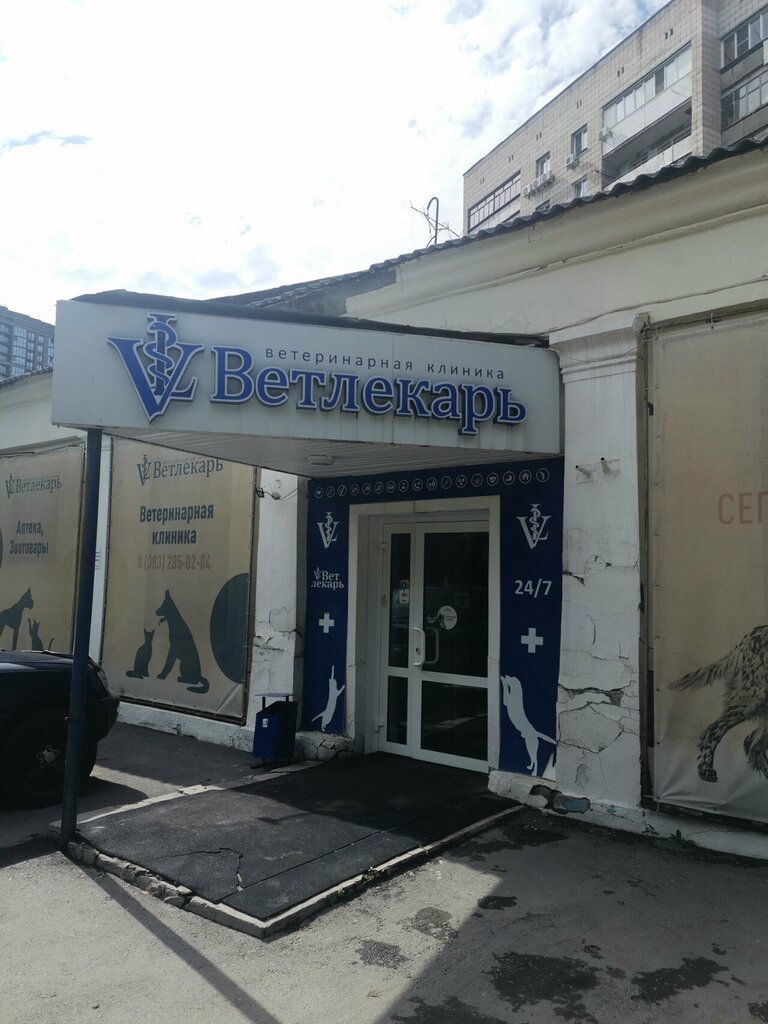 Veteriner klinikleri Vetlekar, Novosibirsk, foto