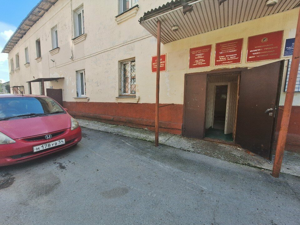 Sivil toplum kuruluşları Aktivny gorod, Novosibirsk, foto