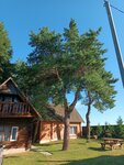 Stary Mlyn (Minskaja region, Klieck, Ozyorny pereulok), kamp alanları  Kletsk'ten