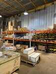 AutoKontinent (Eleny Kolesovoy Street No:13, Severny zhiloy rayon), kamyon ve ağır vasıta satış ve servis firmaları  Yaroslavl'dan