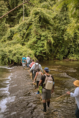 Sanat galerileri ve merkezleri Amazonian Expressions Murals in Pucallpa, Pucallpa, foto