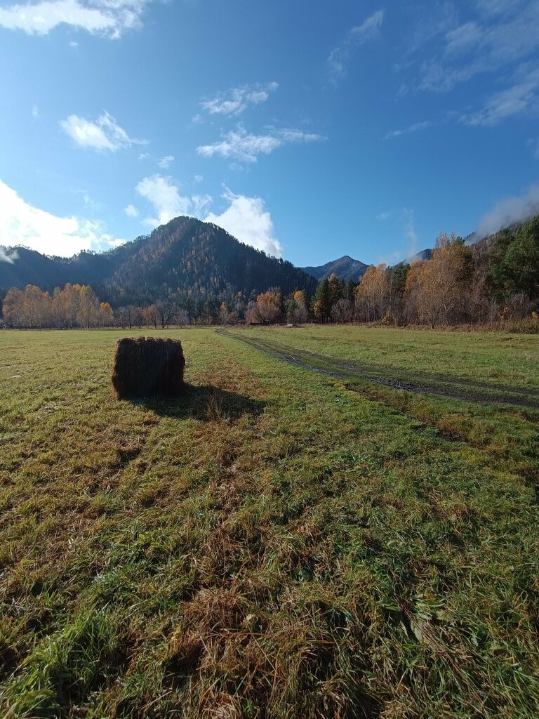 Kamp alanları Караташ, Altay Cumhuriyeti, foto