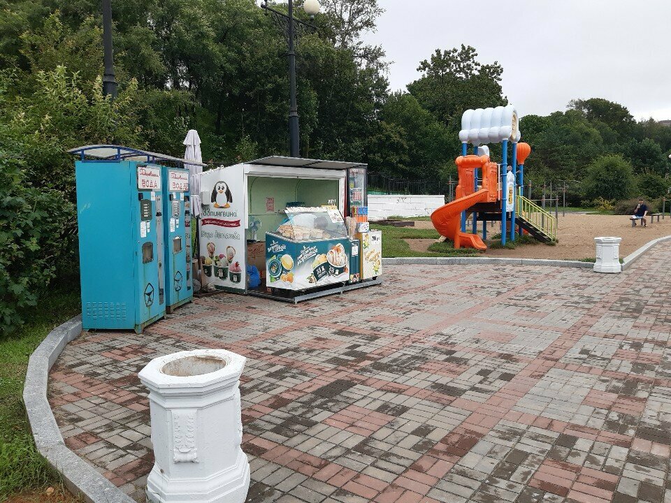 Dondurmacılar 33 пингвина, Habarovsk, foto