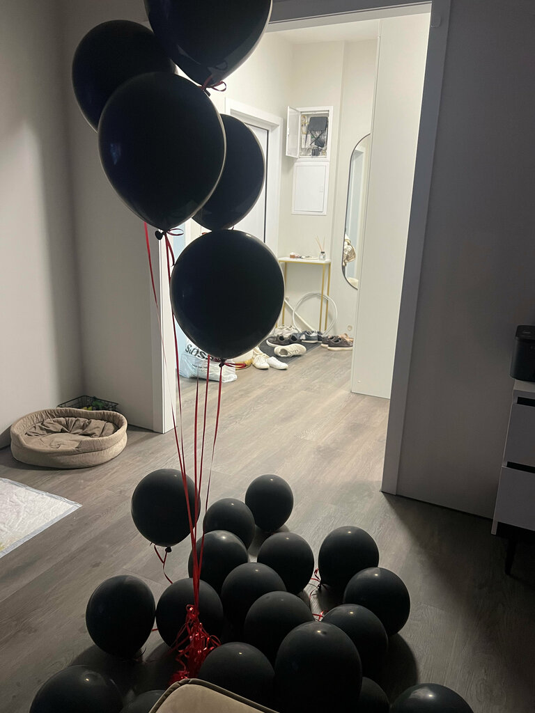 Kutlama ürünleri Гелиевые шары, Vidnoye, foto