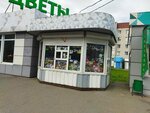 Киоск по продаже прессы (Vologda, ulitsa Marshala Koneva), gazete bayi  Vologda'dan