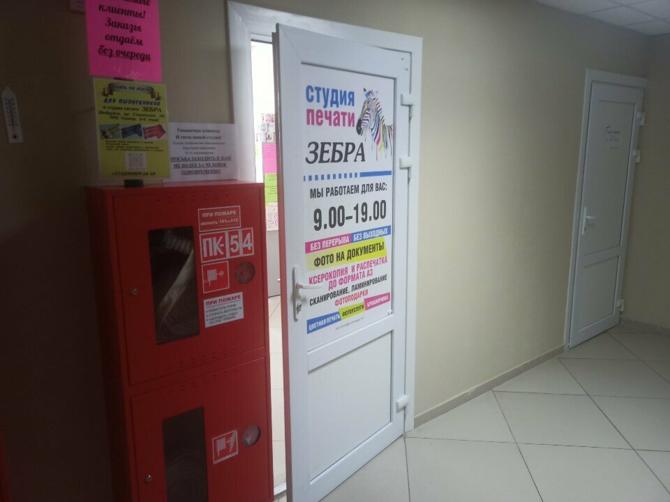 Baskı hizmetleri Зебра, Bobruisk, foto