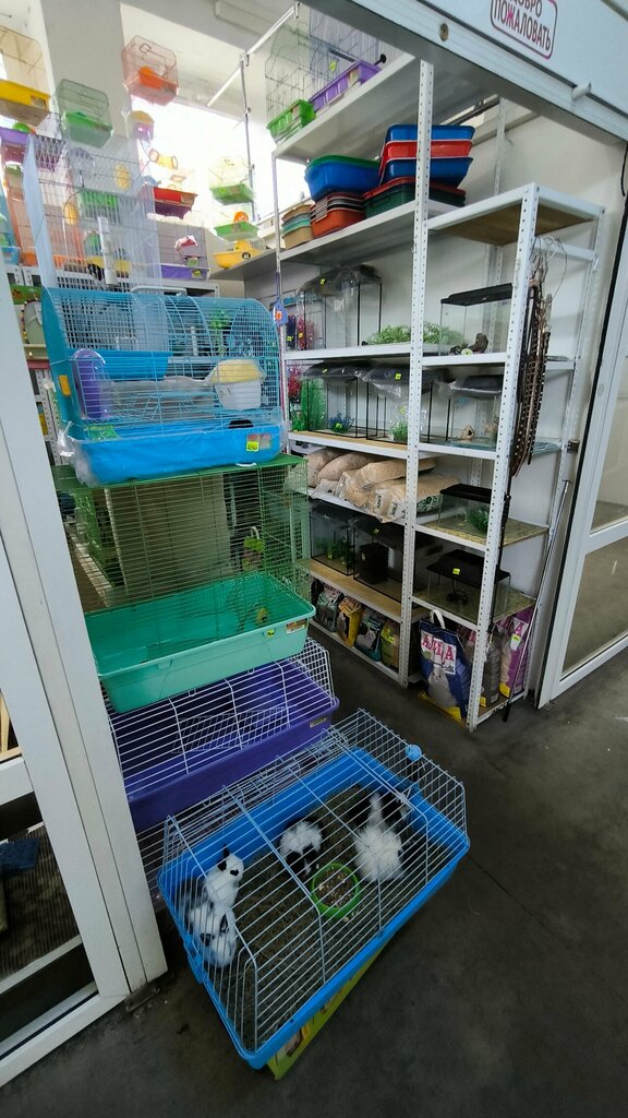 Petshop Норт, Çeliabinsk, foto