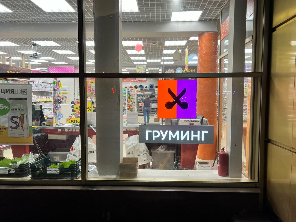 Evcil hayvan kuaförleri Четыре Лапы Груминг, Podolsk, foto