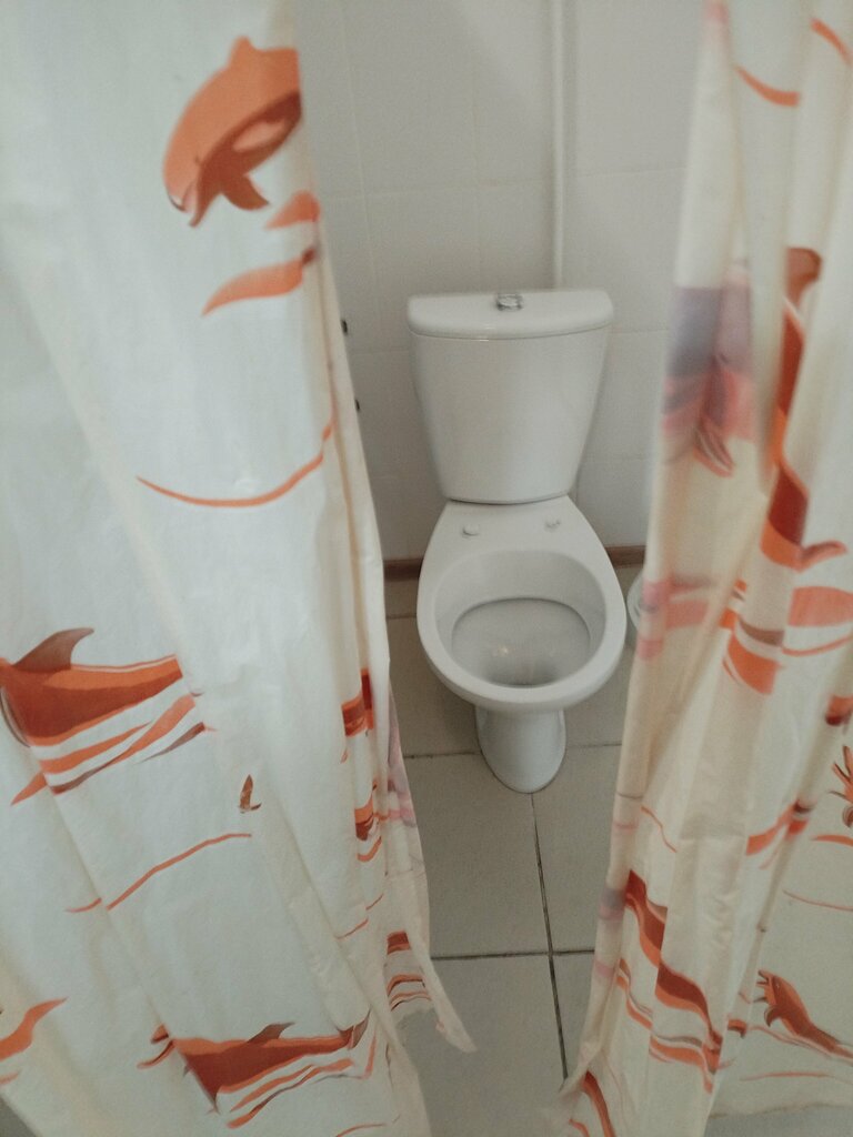 Tuvalet Туалет, Luga, foto