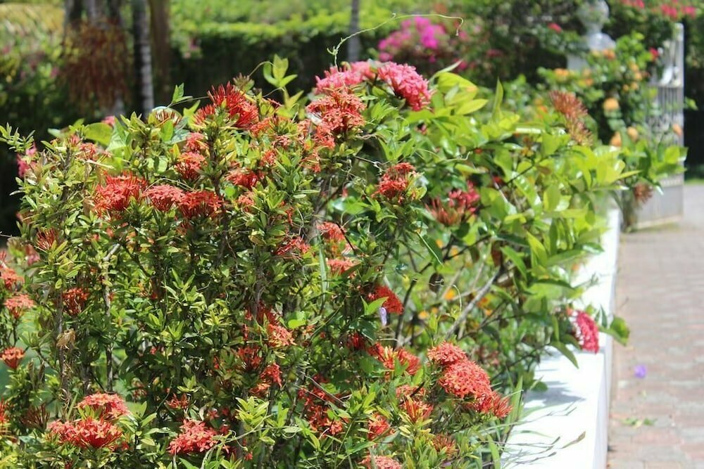 Daireler Villa Loyola, Dünya, foto