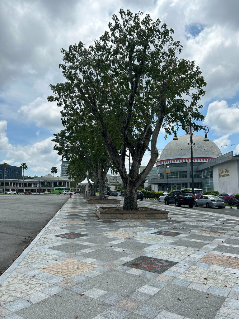 Müzeler ve sanat galerileri The Royal Regalia Museum, Bandar Seri Begawan, foto