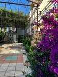 Guest House (Шапсугская улица No:2А), kısa süreli konaklama  Gagra'dan