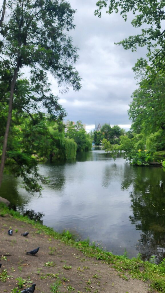 Bank Bench, Saratov, foto