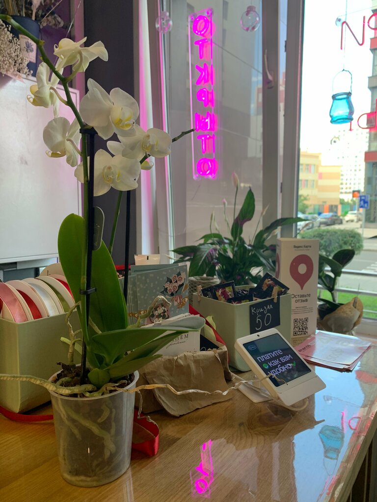 Çiçekçiler Цветы в подарок, Moskova, foto