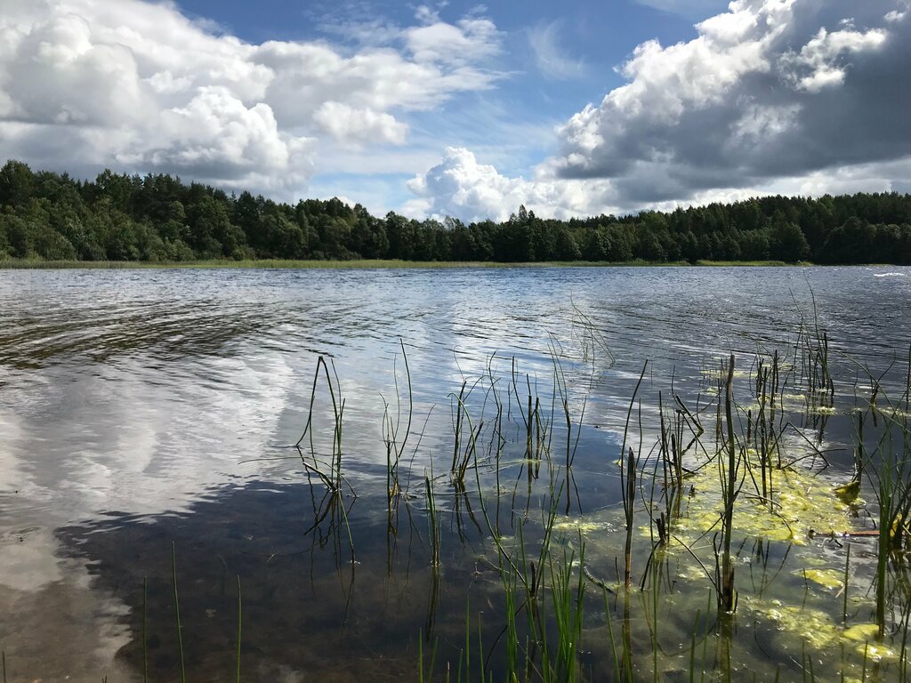 Plaj Пляж, Tverskaya oblastı, foto