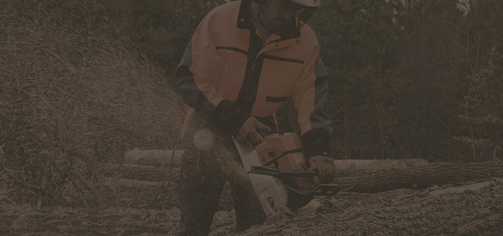 Kerestecilik, ağaç satışı Demka Kereste, Bilecik, foto