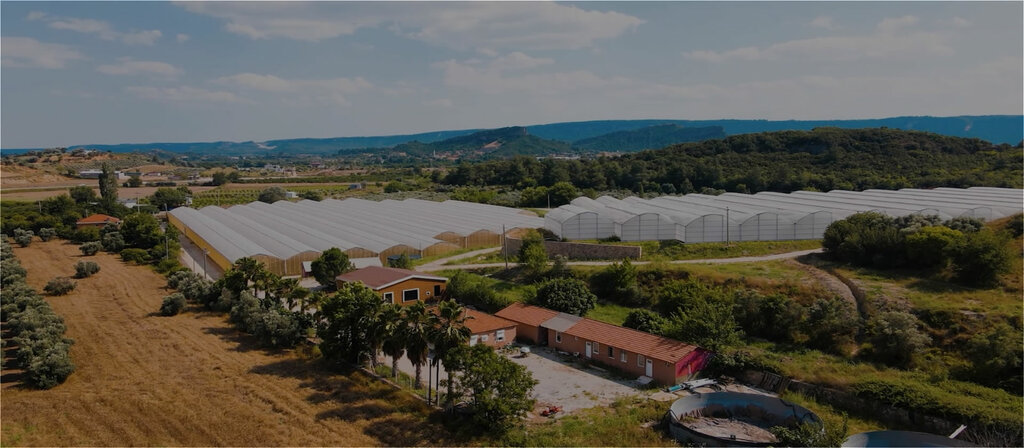 i̇thalat-ihracat firmaları West Tarım, Antalya, foto