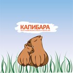 Capybara (ulitsa Sergeya Gerasimova No:27), çocuk gelişim merkezleri  Çeliabinsk'ten