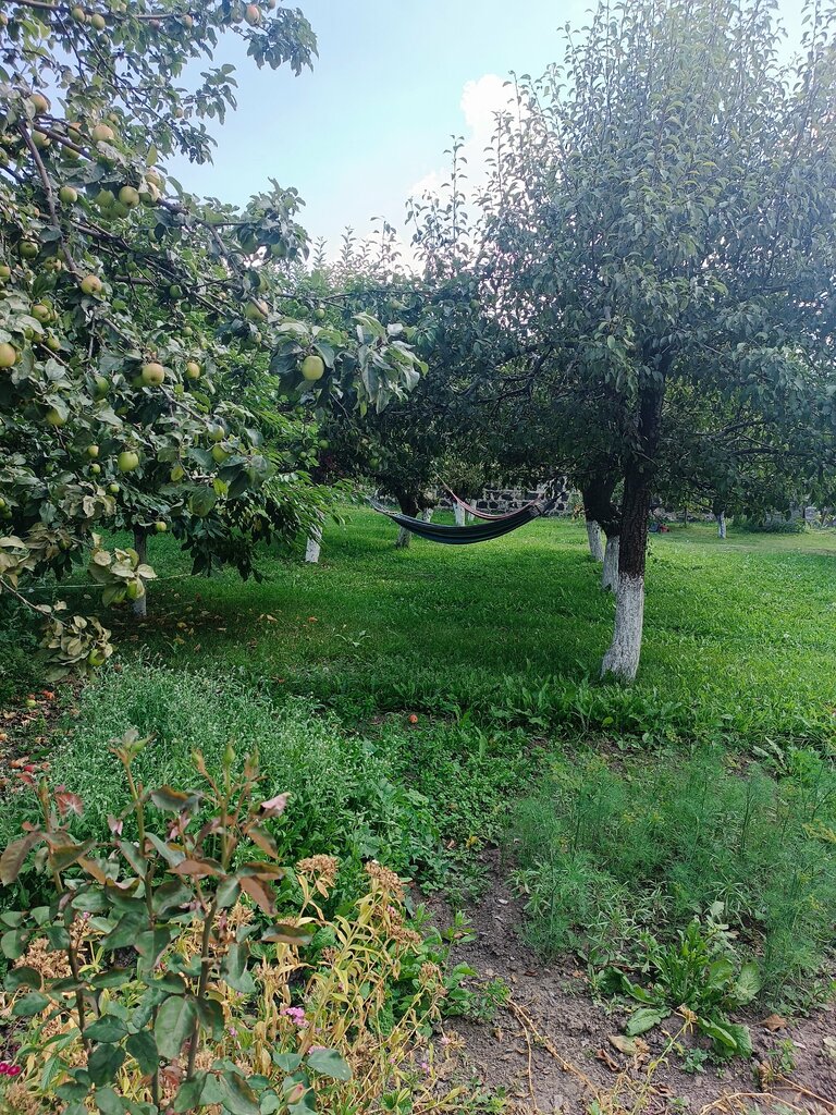 Pansiyonlar, hosteller Guest house Chkalovka Հյուրատուն Չկալովկա, Geğarkunik, foto