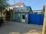 Vegetables and Fruits (Musina Street No:48/1), manavlar  Oral'dan (Uralsk'tan)
