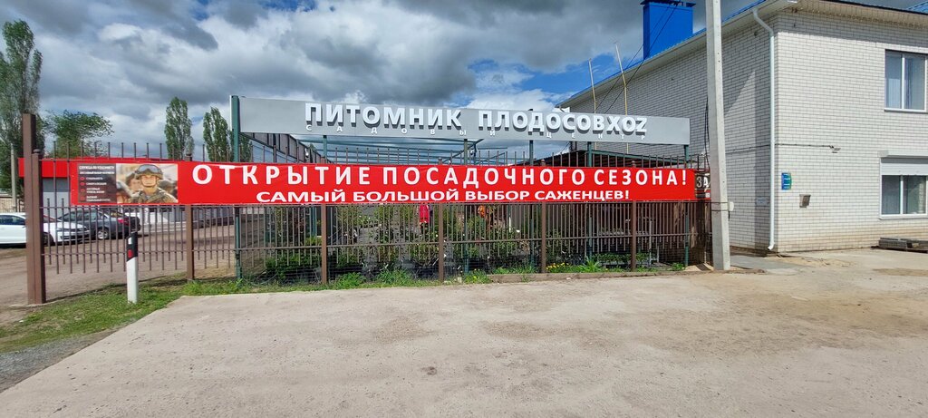 Sera ve bahçe ürünleri Питомник плодосовхоз, Voronejskaya oblastı, foto