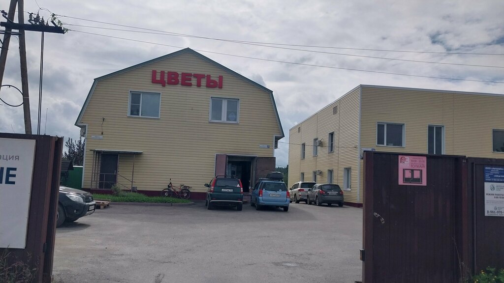 Dövmeciler ШеН, Barnaul, foto